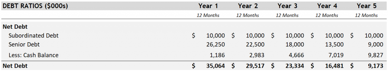 Private Equity Debt Ratio Analysis | A Simple Model