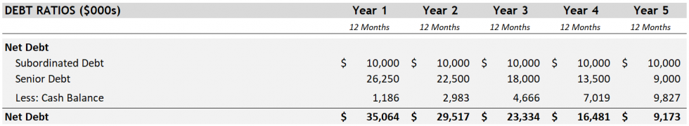 Private Equity Debt Ratio Analysis | A Simple Model